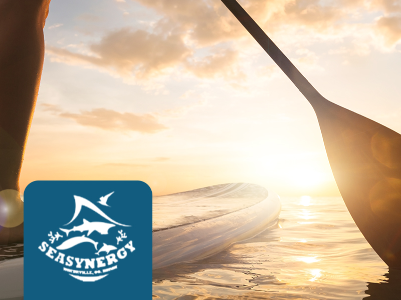 Home [electricireland-brighterthingstodo.com]